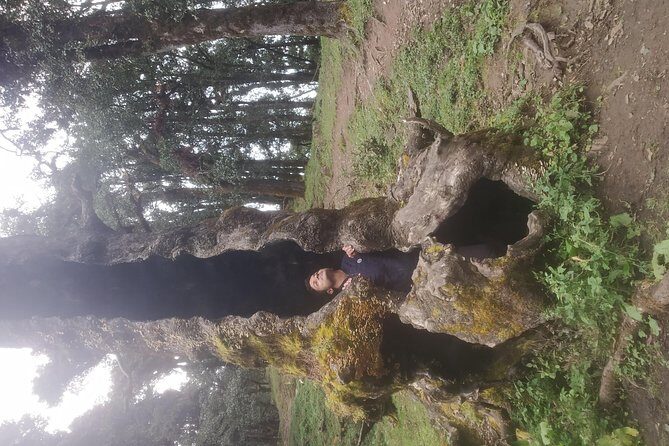Nagtibba Trek (Pantwari to Pantwari) - What the Included Meals Mean for You