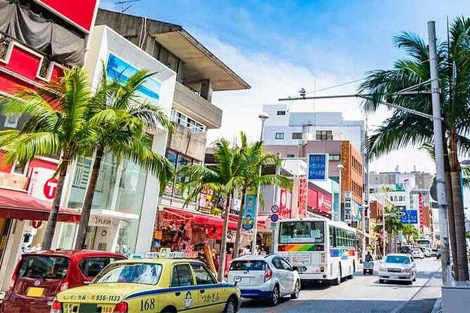 Naha 6hr Private Walking Tour with Government Licensed Guide - Who Should Consider This Tour?