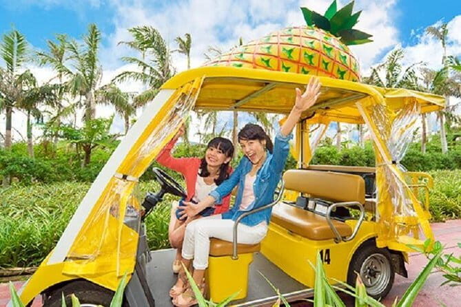 Naha Bar Hopping Tour in Okinawa - Final Thoughts