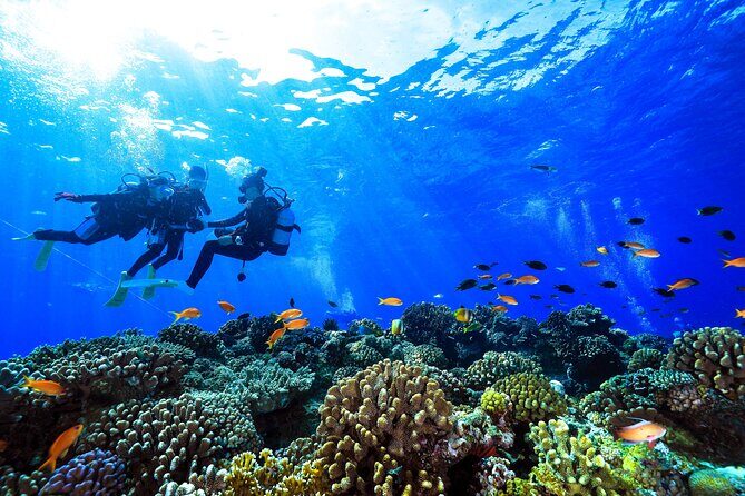 Naha: Full-Day Introductory diving & Snorkeling in the Kerama Islands, Okinawa - Final Thoughts