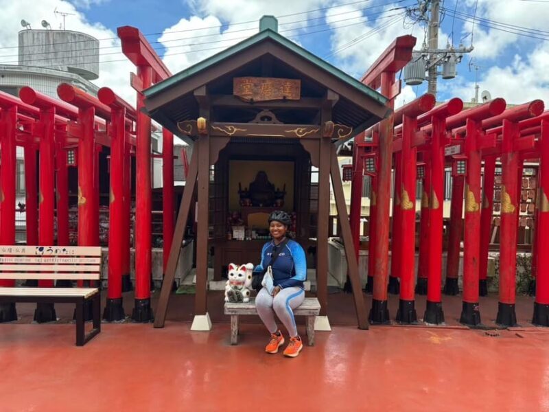 Naha: Guided E-Bike Tour of the 12 Zodiac Temples - Final Thoughts: Who Is This Tour For?