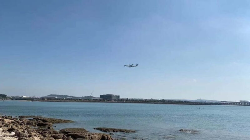 Naha: Guided Walking Tour with Street Food Tastings - Discovering Naha: An Authentic Okinawan Walk