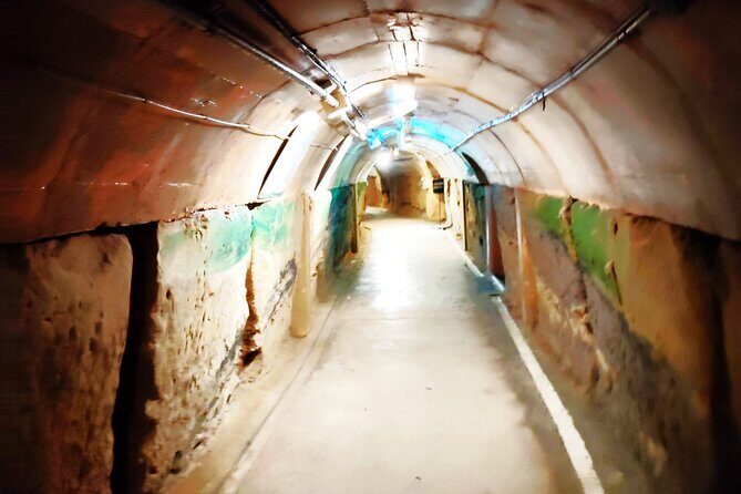Naha: Journey into Okinawas WWII Navy Underground HQ - Who Should Consider This Tour?