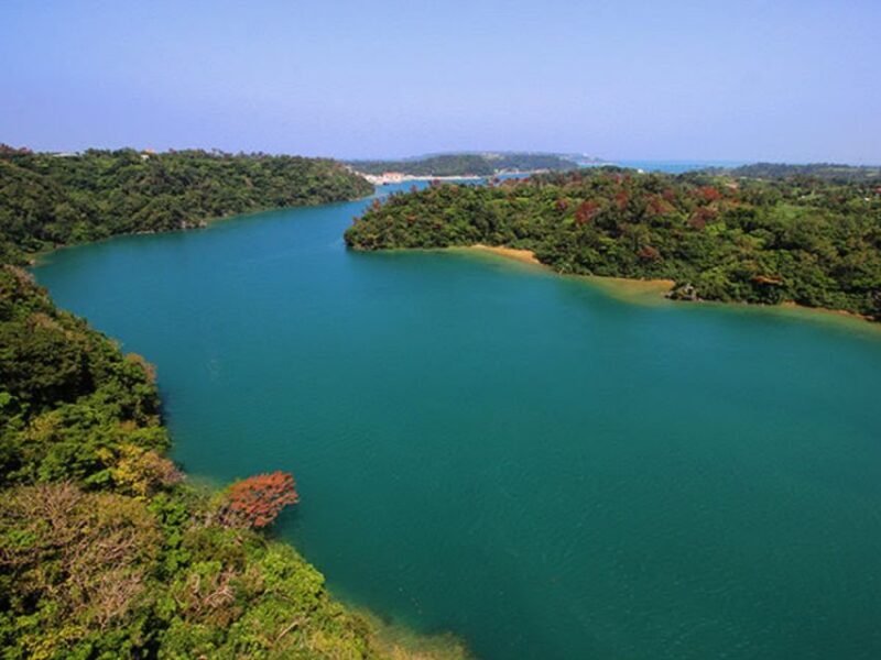 Naha: North Okinawa Sightseeing Tour & Churaumi Aquarium - The Reviewers’ Perspective: What People Are Saying