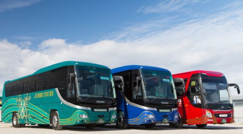 Naha: North Okinawa Sightseeing Tour & Churaumi Aquarium - Is This Tour Right for You?