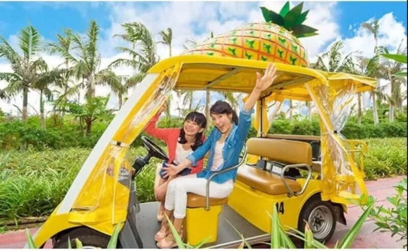 Naha: North Okinawa Sightseeing Tour & Churaumi Aquarium - FAQ: Common Questions About the Tour
