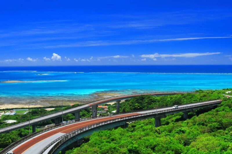 Naha: Southern Okinawa,Scenic view,fruit picking,BBQ Lunch - A Deep Dive into Okinawa’s Highlights