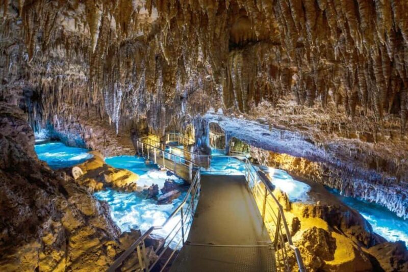 Naha: Southern Okinawa,Scenic view,fruit picking,BBQ Lunch - Authentic Experiences That Impress