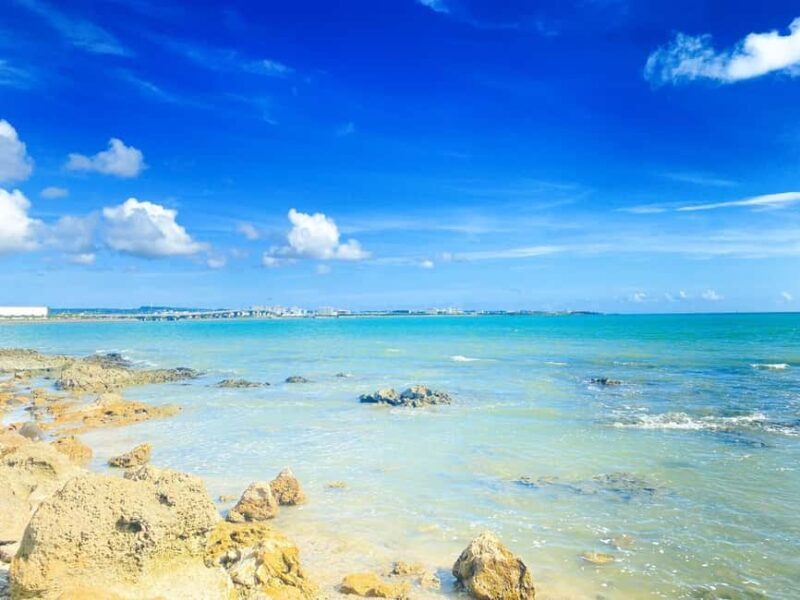 Naha: Southern Okinawa,Scenic view,fruit picking,BBQ Lunch - Who Should Consider This Tour?