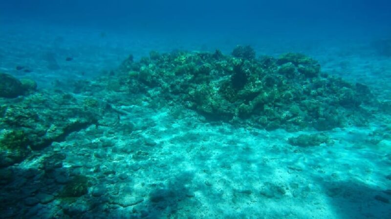 Naha: Tokashiki Day Trip & Kerama Islands Scuba Diving Trip - Who It’s Best For