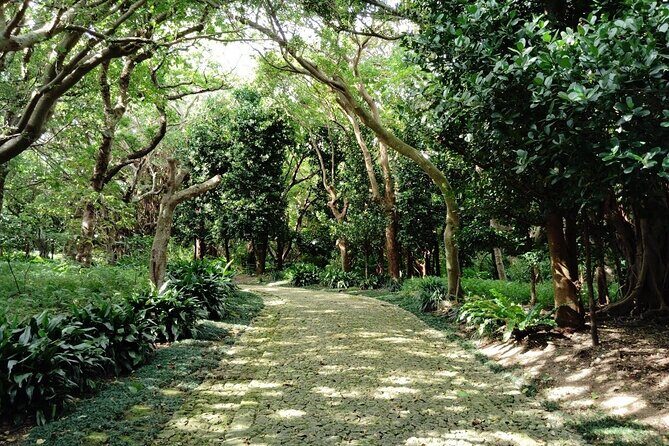 Naha: Walk Through Shikinaen, a Historic Royal Garden - What Makes Shikinaen Special?