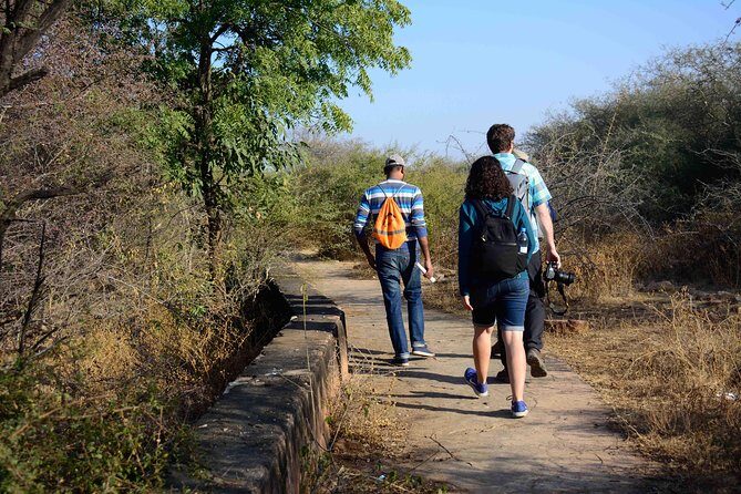 Nahargarh Water Walk - Guided 2-Hour Heritage Tour in Jaipur - Exploring Jaipur’s Water Heritage: A Detailed Review
