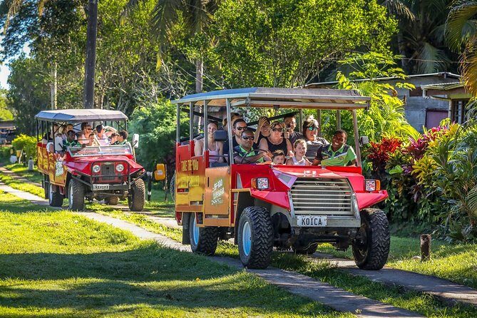 Naihehe Cave Safari in Sigatoka with BBQ Lunch - Who Will Love This Tour?