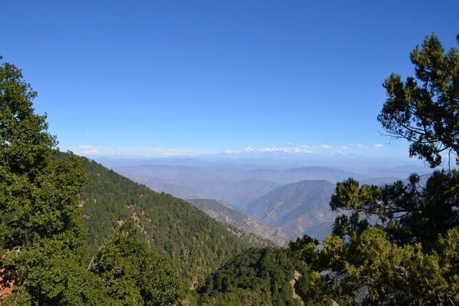 Nainital Nature Trekking Experience (4 Hours guided experience) - Key Points