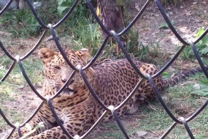 NAINITAL TOUR (2 Nights /3 Days) - Starting Point and Initial Impressions