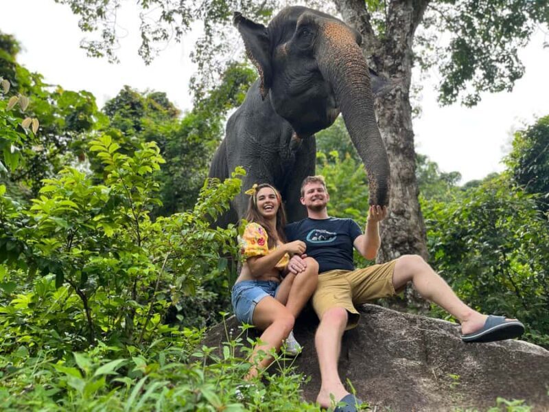 Naithon: Heart to Trunk - A Phuket Elephant Care Experience - Key Points