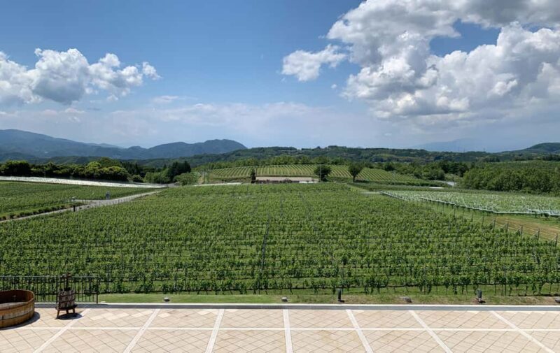 Naka-Izu:2Days Gourmet Journey Wasabi, Wine, Tea, Glamping - An Overview of the Experience