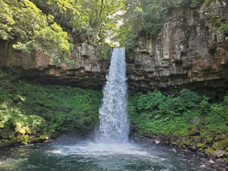Naka-Izu:2Days Gourmet Journey Wasabi, Wine, Tea, Glamping - Savoring Nakaizu Winery