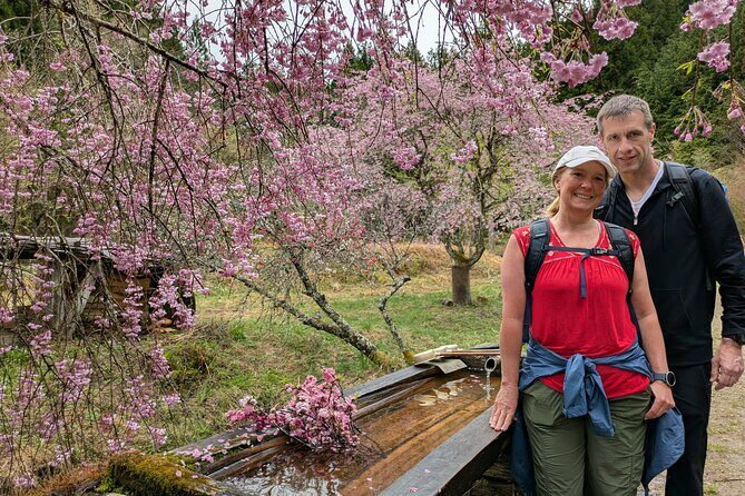 Nakasendo Magome Private Hiking Tour  Guide & Car from Nagoya - Key Points