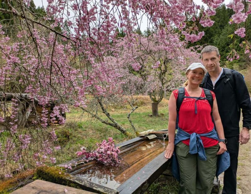 Nakasendo Magome Private Hiking TourGuide & Car from Nagoya - An In-Depth Look at the Tour Experience
