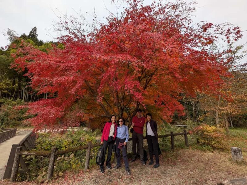 Nakasendo Magome Private Hiking TourGuide & Car from Nagoya - Final Thoughts: Why Consider This Tour?