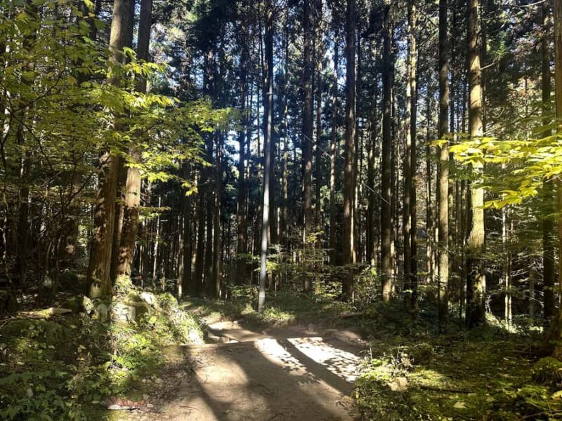 Nakasendo Samurai Road Hiking tour from Nagoya - The Experience in Practice