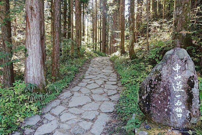 Nakasendo Trail Magome and Tsumago Day Hike Small Group Tour - What Makes This Tour Stand Out?