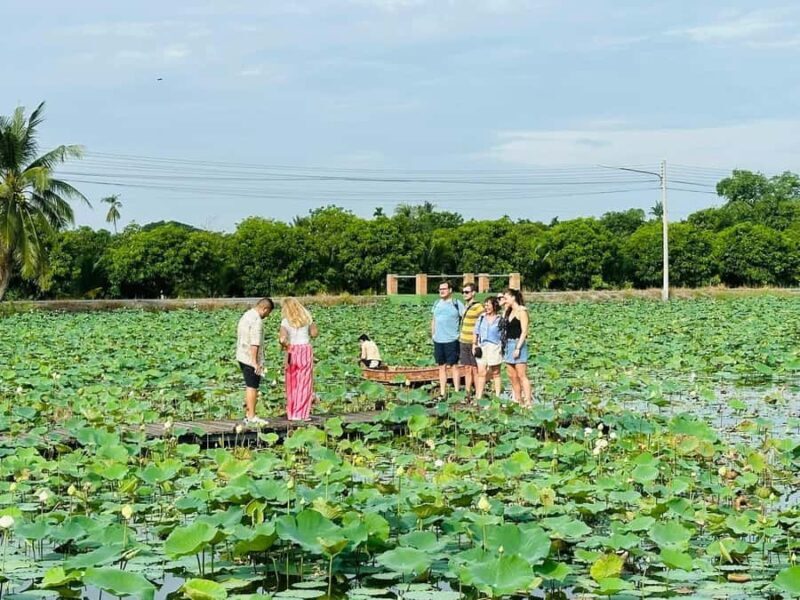 Nakhon Pathom: Lotus Pond Boat Ride and Temple Tour - The Sum Up