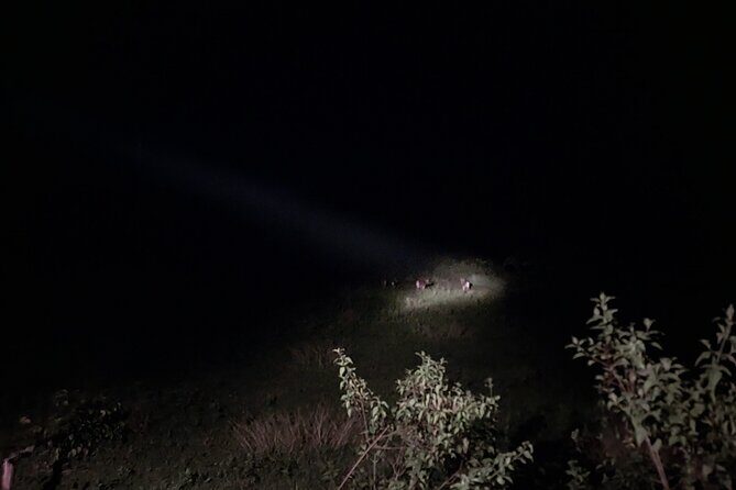 Nam Cat Tien National Park 2-Day Tour with Lodging, Meals.. - Concluding Reflection