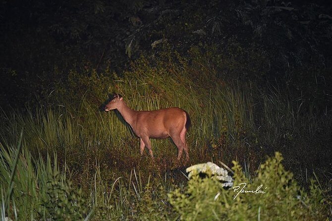 Nam Cat Tien National Park 2 Days 1 Night Tour - What Makes This Tour Stand Out?