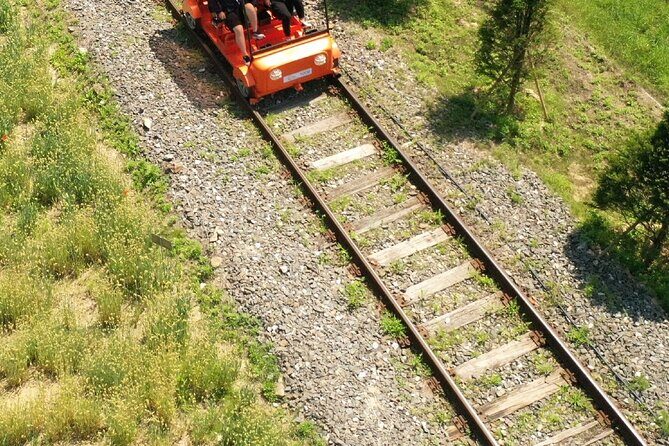 Nami, Alpaca, Petite France, Morning Calm Begonia One Day Tour - Petite France: A Fairytale Village