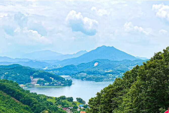 Nami, Alpaca, Petite France, Morning Calm Begonia One Day Tour - The Garden of Morning Calm: A Botanical Wonderland