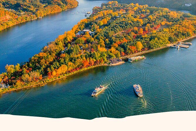 Nami, Alpaca, Petite France, Morning Calm Begonia One Day Tour - Begonia Garden: A Colorful Finale