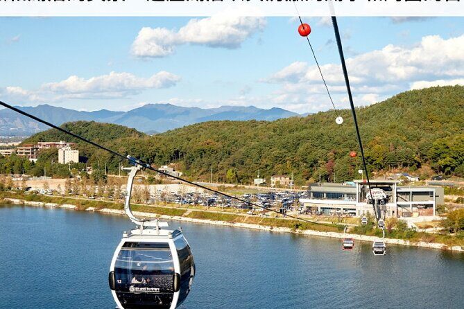 Nami, Alpaca, Petite France, Morning Calm Begonia One Day Tour - Who Is This Tour Best For?