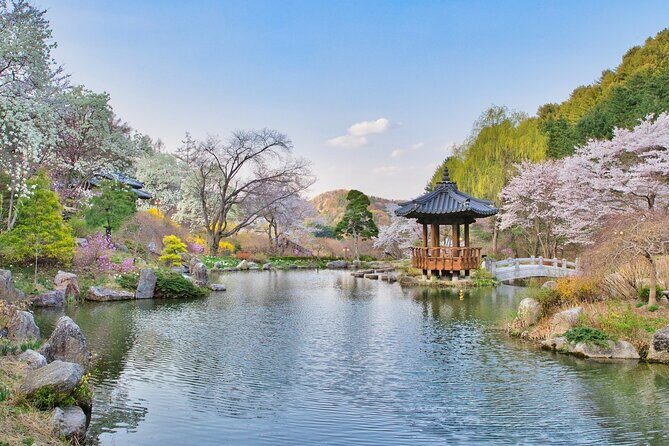 Nami Island/Alpaca/Rail Bike/Petite France/Morning Calm Tour - What to Expect from the Itinerary