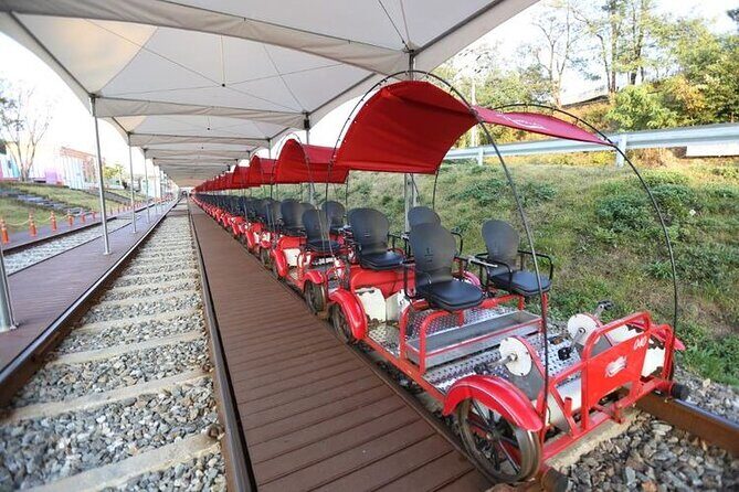 Nami Island, Alpaca World and Railbike Kimyujeong Tour - Authentic Experiences and Travel Insights