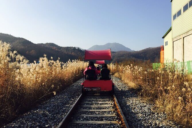 Nami Island and Begonia Bird Park Tour from Seoul (opt Railbike) - What Travelers Love About the Tour
