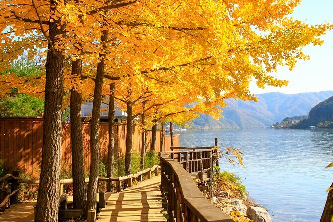 Nami Island and Begonia Bird Park Tour from Seoul (opt Railbike) - Who Will Appreciate This Tour?