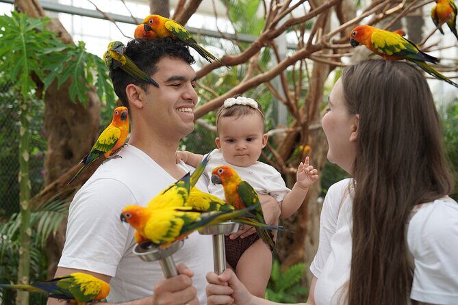 Nami Island and Begonia Bird Park Tour from Seoul (opt Railbike) - Frequently Asked Questions