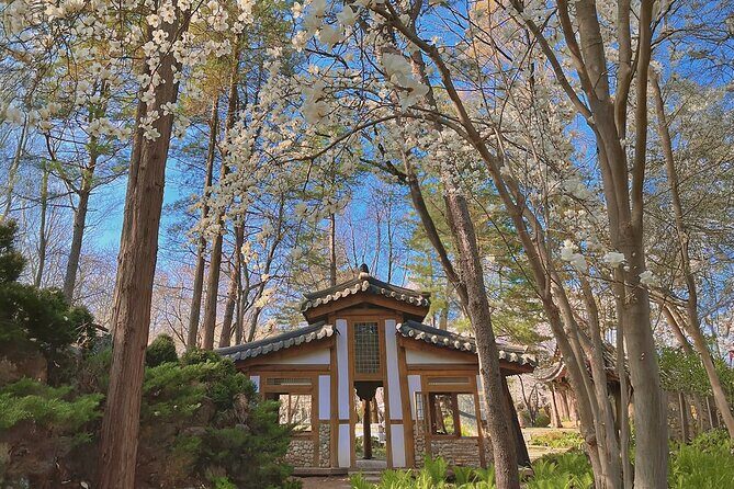 Nami island and Hanbok Wearing and Waterfall from Seoul - The Sum Up