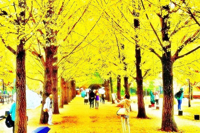 Nami island and Petite France {Private day tour} - An In-Depth Look at the Tour Experience