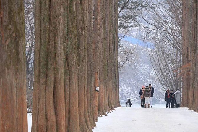 Nami island and Petite France {Private day tour} - FAQ
