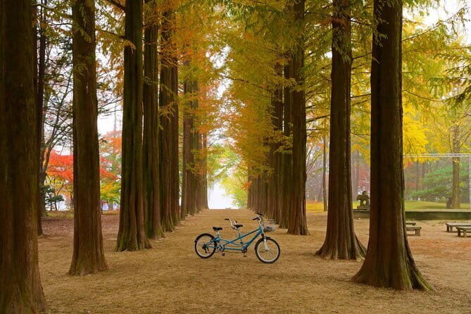 Nami Island and Rail Bike Day Trip from Seoul - An In-Depth Look at the Experience