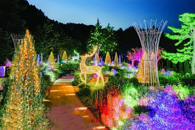 Nami Island, Apple Picking & Autumn Light Festival - Key Points