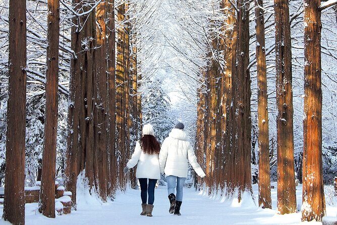 Nami Island, Apple Picking & Autumn Light Festival - FAQ