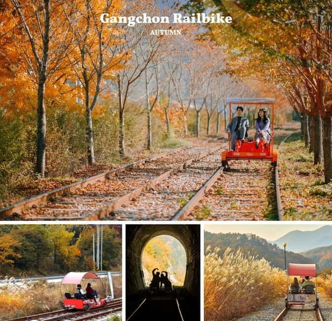 Nami Island, Apple Picking & Railbike Day Trip from Seoul - FAQ