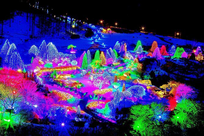 Nami Island, Cable Car, Garden of Morning Calm Panoramic Tour - Practical Details: What to Expect and Tips