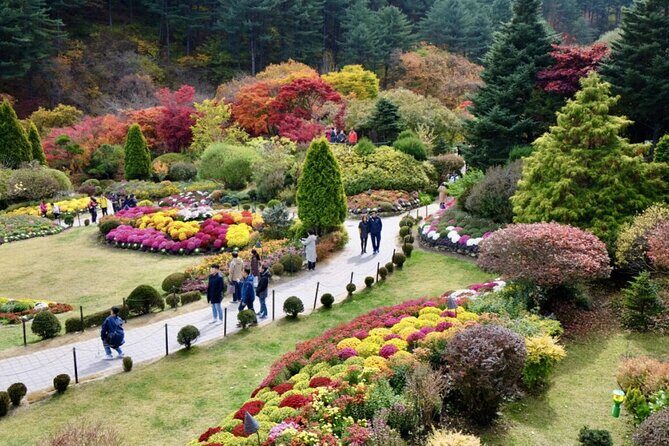 Nami Island , Elysian Ski and Morning Calm Garden Experience - Key Points