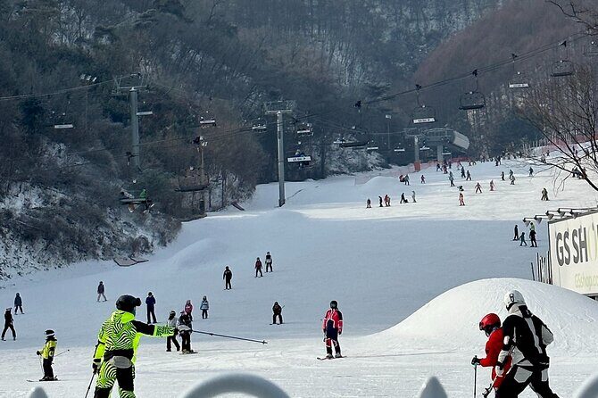 Nami Island , Elysian Ski and Morning Calm Garden Experience - Final Words