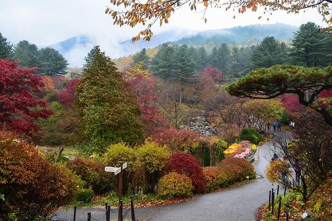 Nami Island from Seoul: Petit France and Garden of Morning Calm - What to Expect from the Private Tour Experience